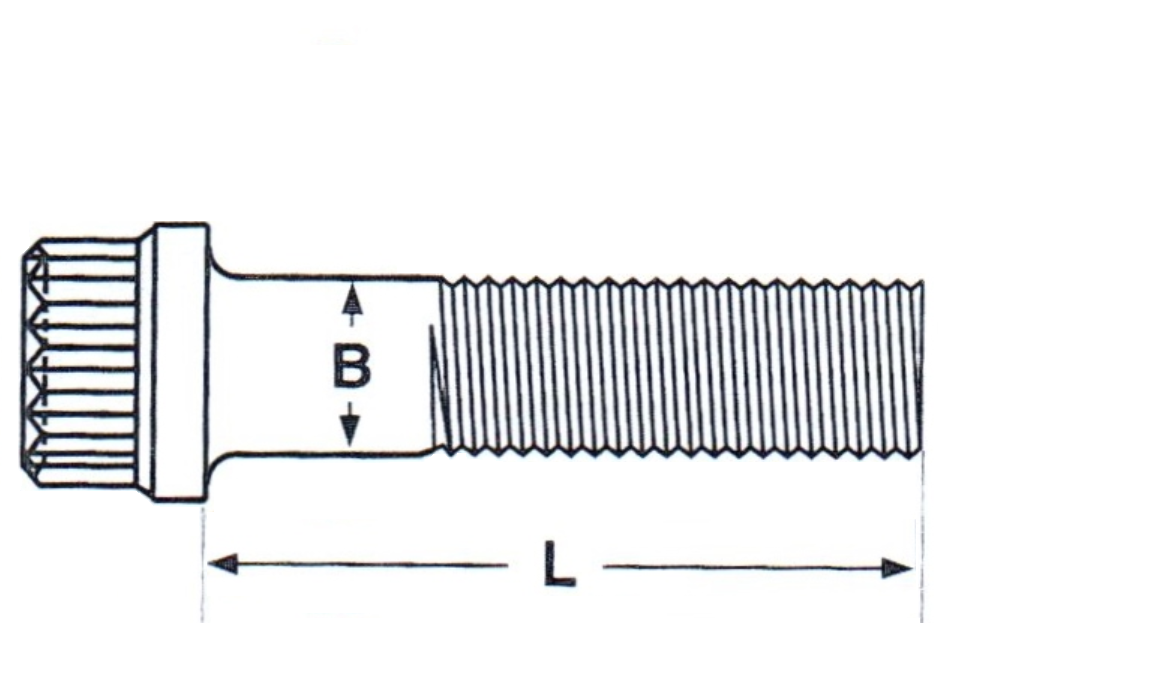 CF Stainless Bolts w/ Plate Nuts – High Vac Depot
